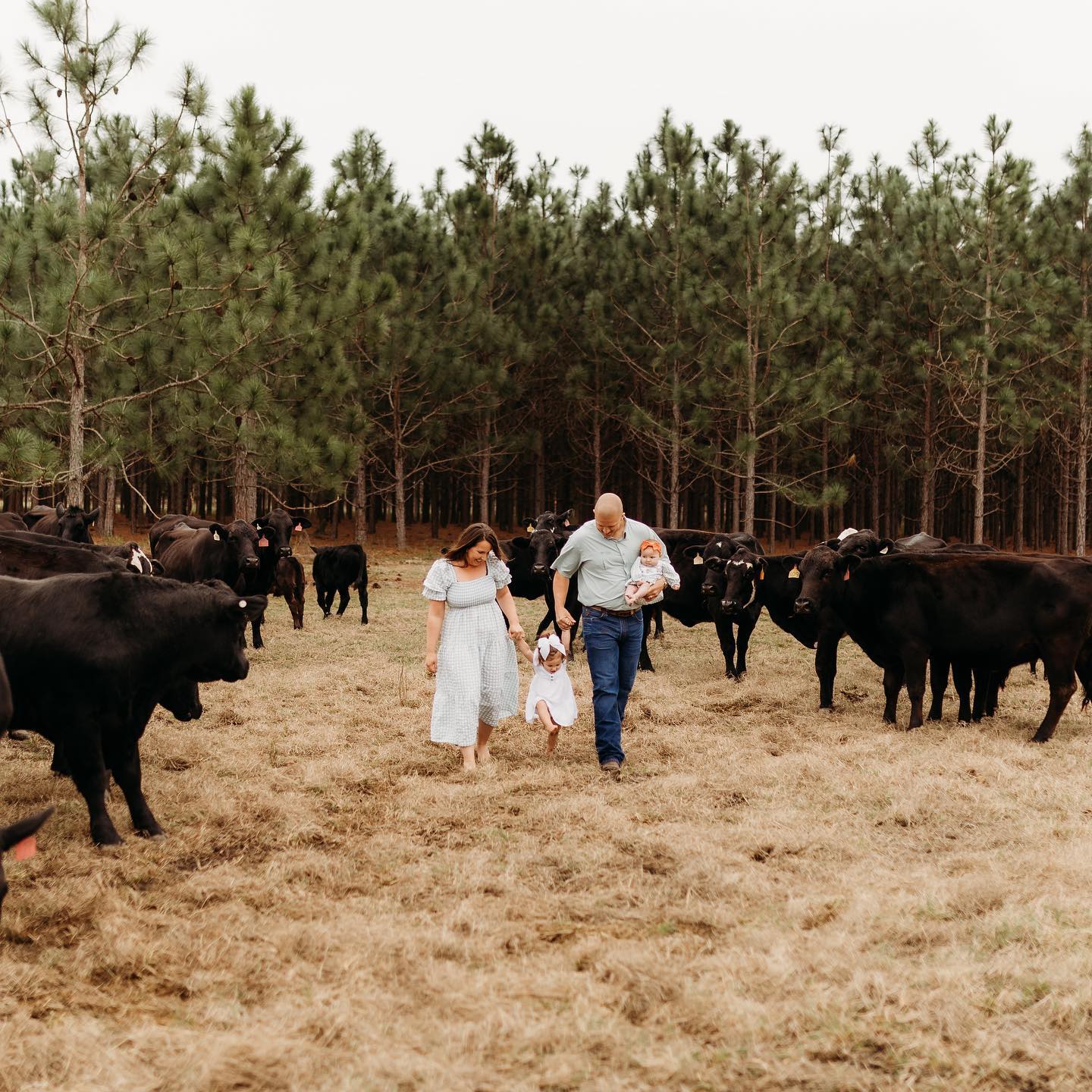 The Traveling Farmacy- Making Our Farm Mobile- Beef, Pork, Eggs, Gifts